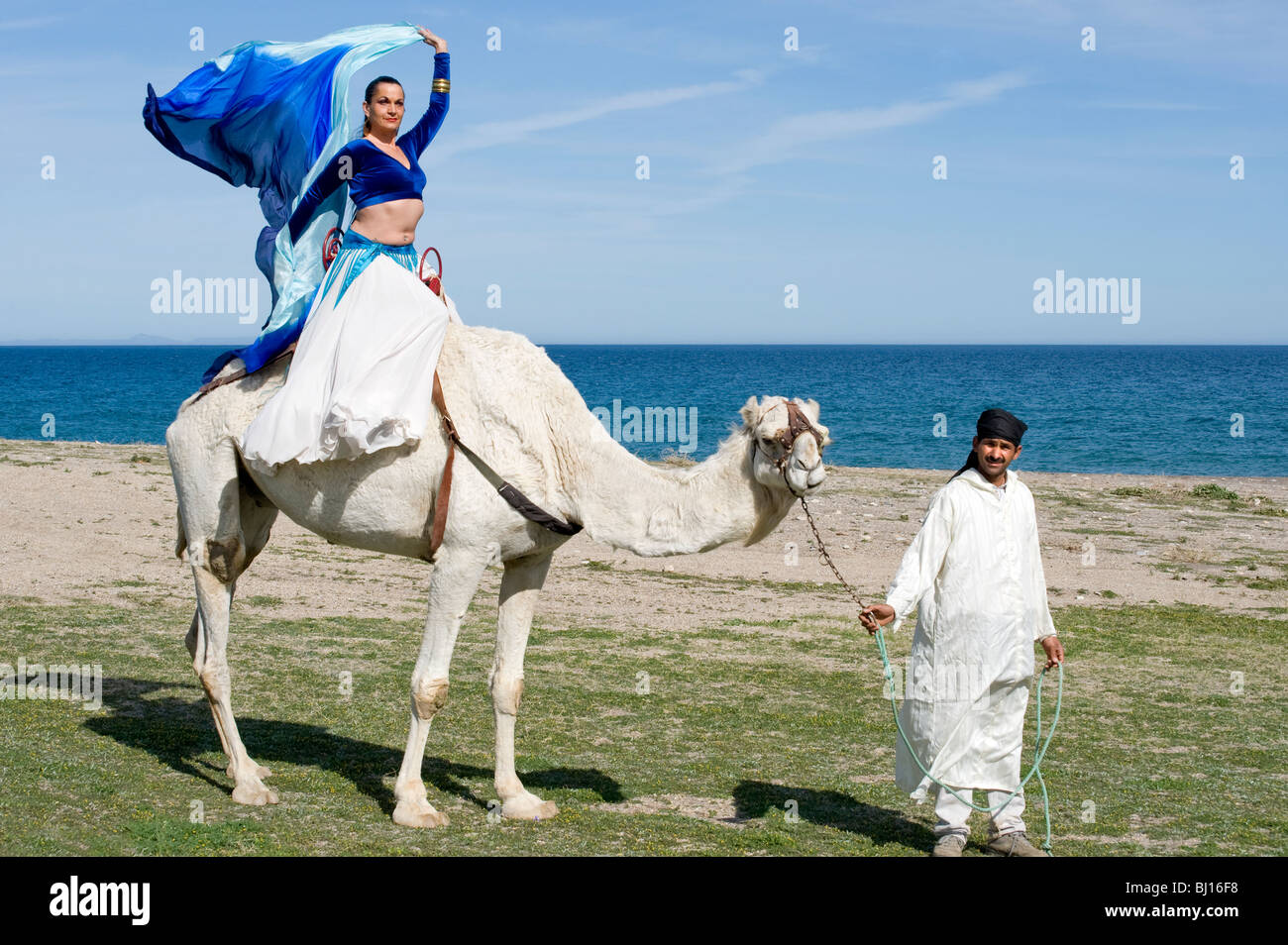 Belly Dancer sitting on a Camel on a beach with veil blowing in the ...