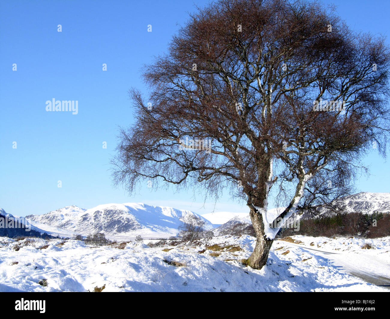 Scotland winter snow hi-res stock photography and images - Alamy