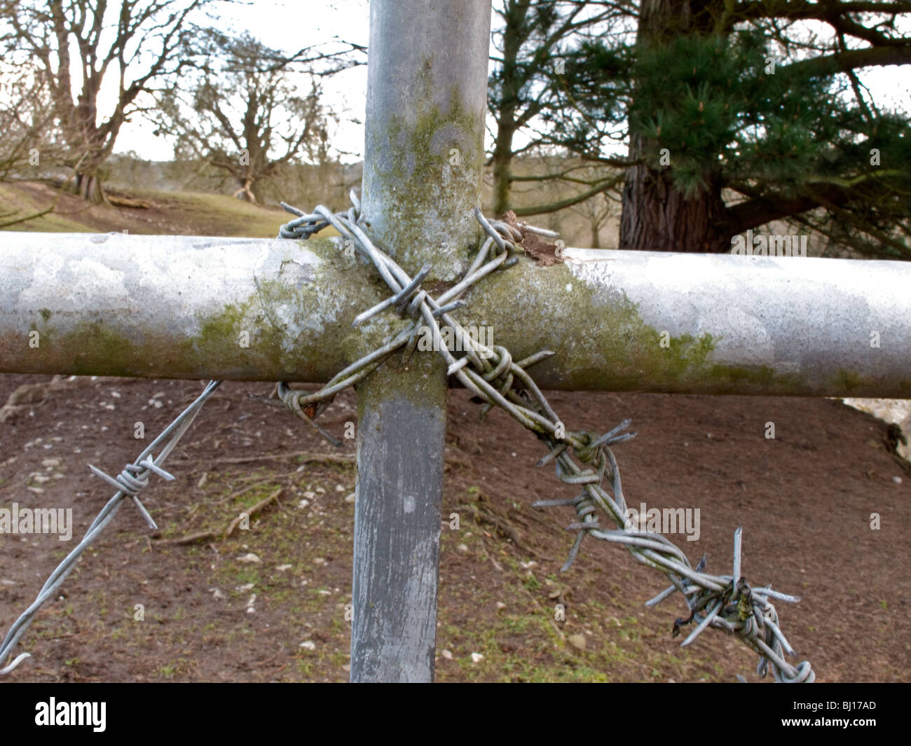 Barbed wire gate hi-res stock photography and images - Alamy