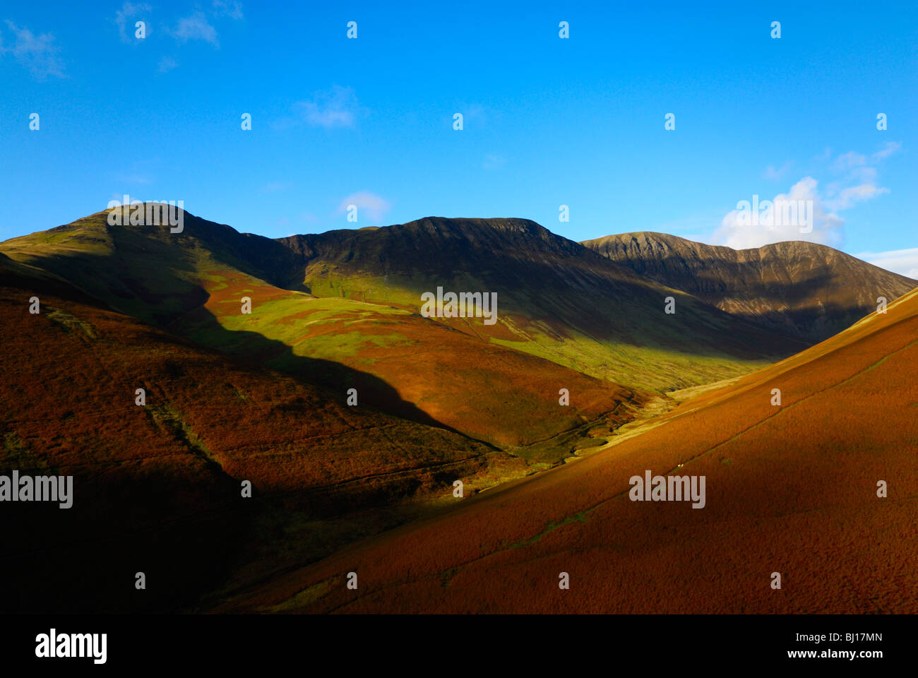 Strong vibrant colours hi-res stock photography and images - Alamy
