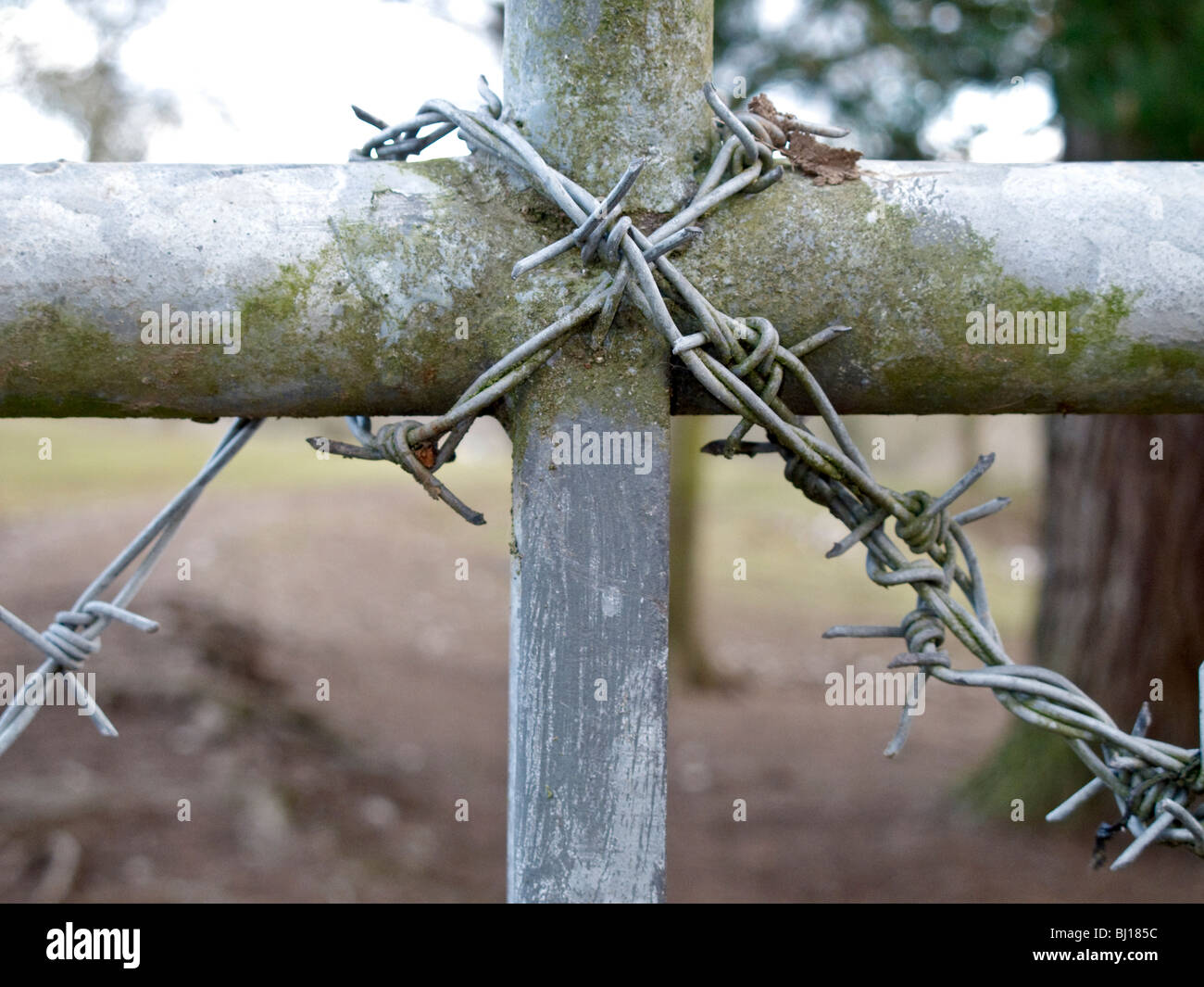 Barbed wire on metal hi-res stock photography and images - Alamy