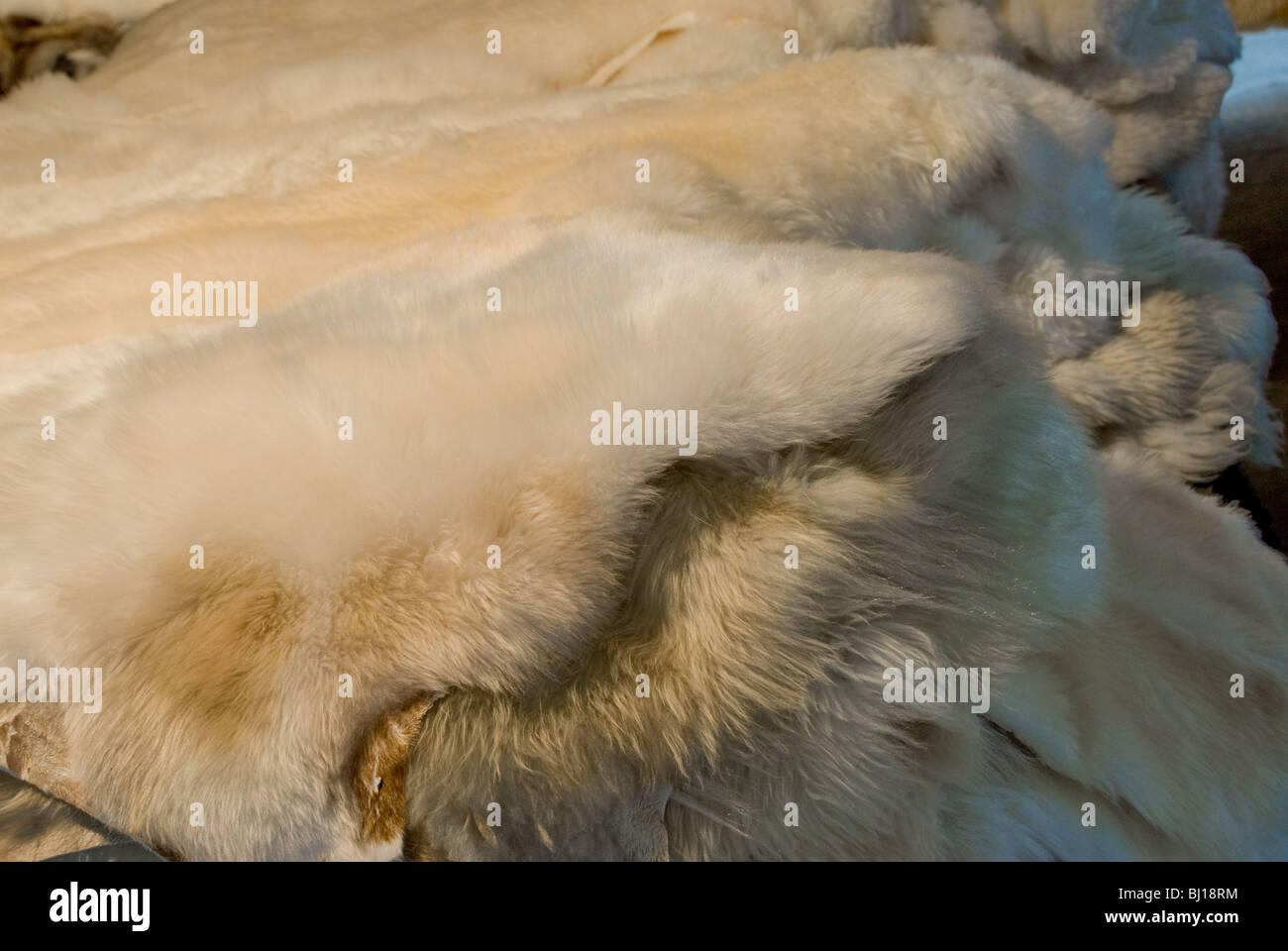 Hides in photography hi-res stock photography and images - Alamy