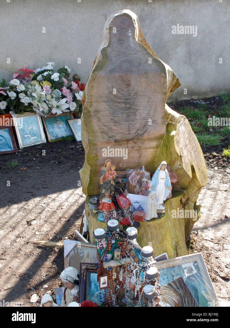 Virgin mary tree hi-res stock photography and images - Alamy