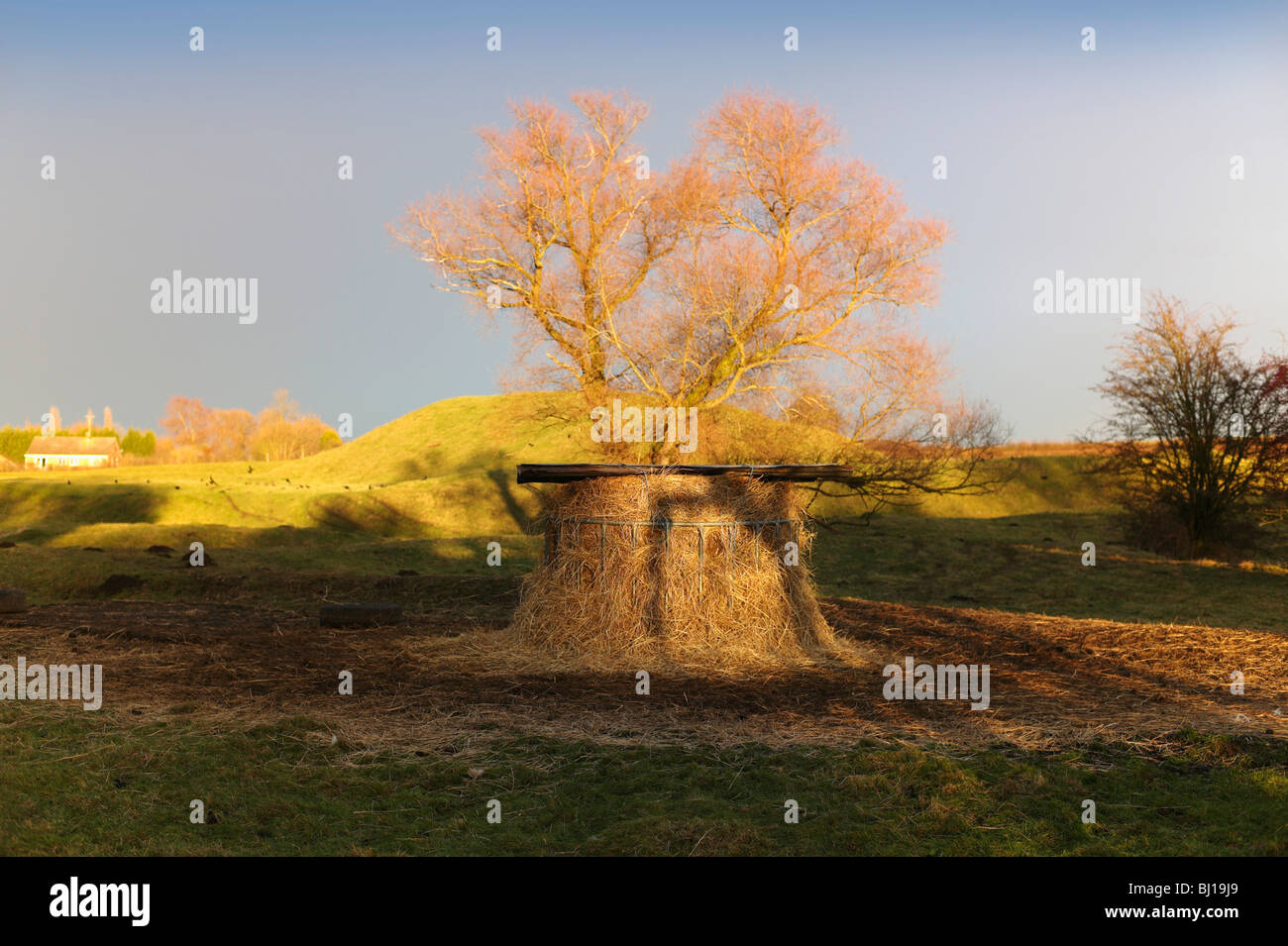 motte and bailey castle yelden bedfordshire home counties england uk ...
