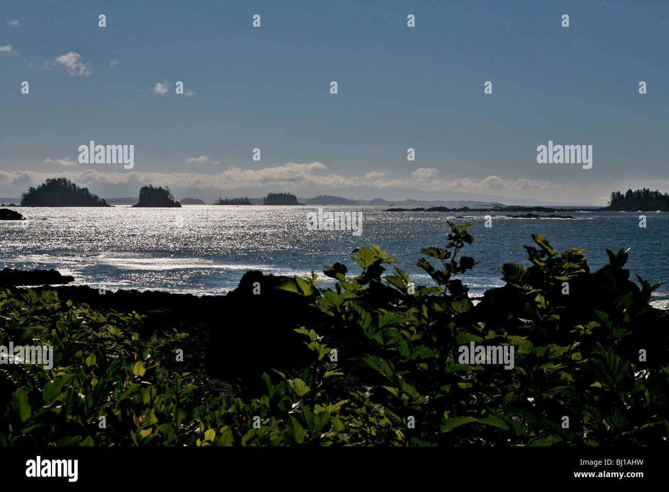 Broken Group Islands View from Wild Pacific Trail, Ucluelet, Vancouver ...
