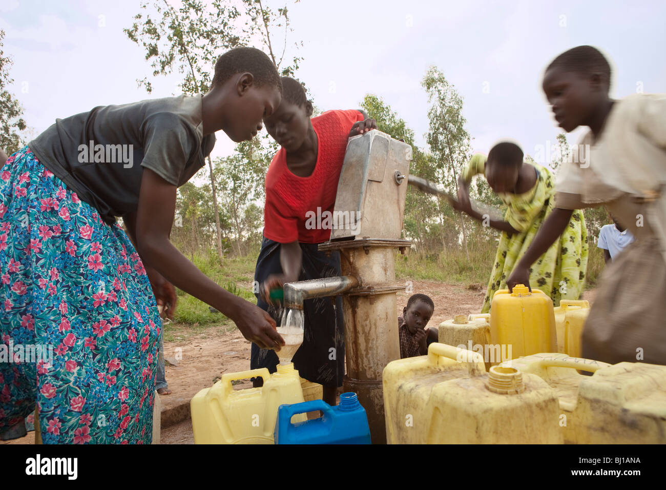 Amuria hi-res stock photography and images - Alamy