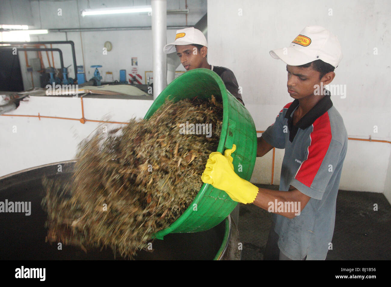 Workers at a plant - manufacturing ayurvedic products, Colombo, Sri ...