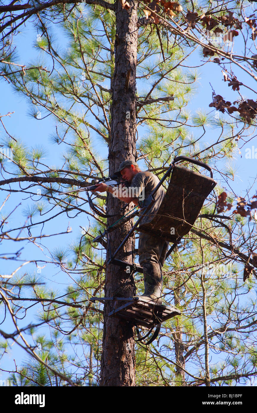 HUNTER IN CAMO FIRING FROM TREE STAND Stock Photo - Alamy