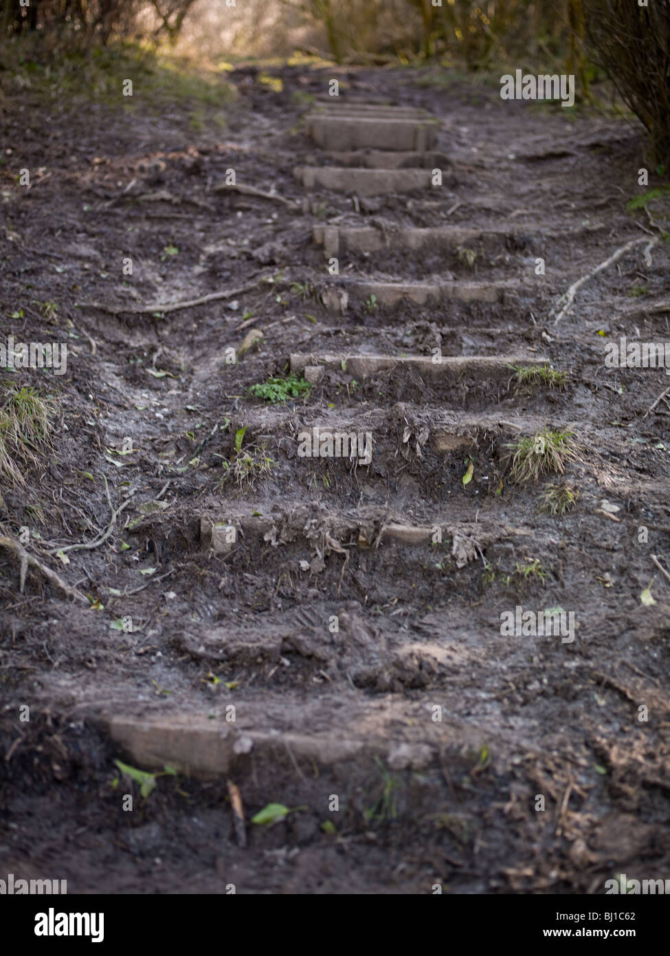 muddy steps cut into path Stock Photo - Alamy