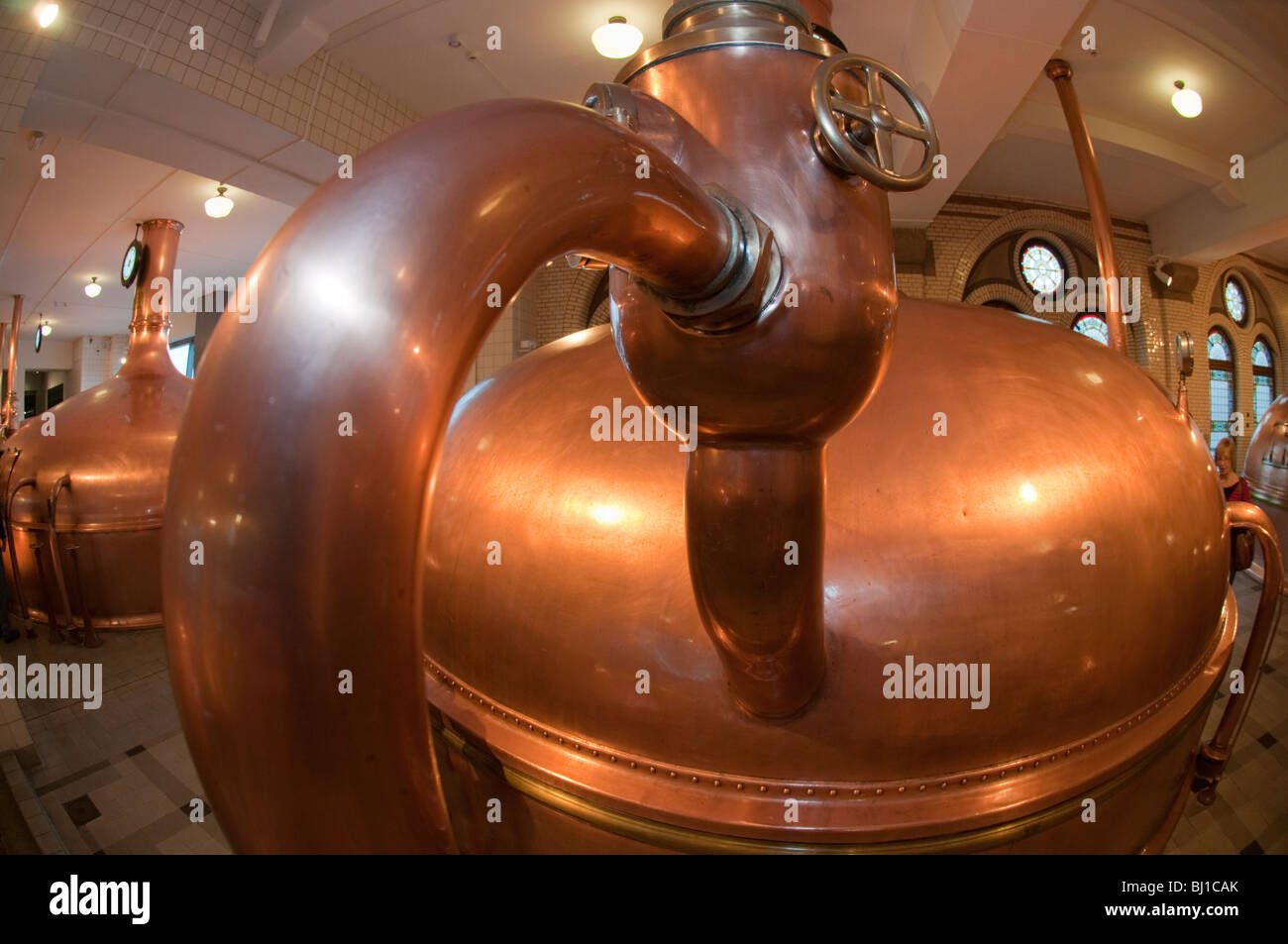Copper traditional tanks for brewing Heineken beer, Heineken brewery ...