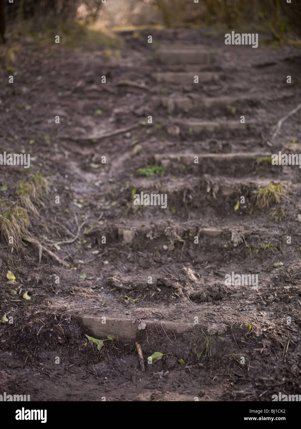 muddy steps cut into path Stock Photo - Alamy