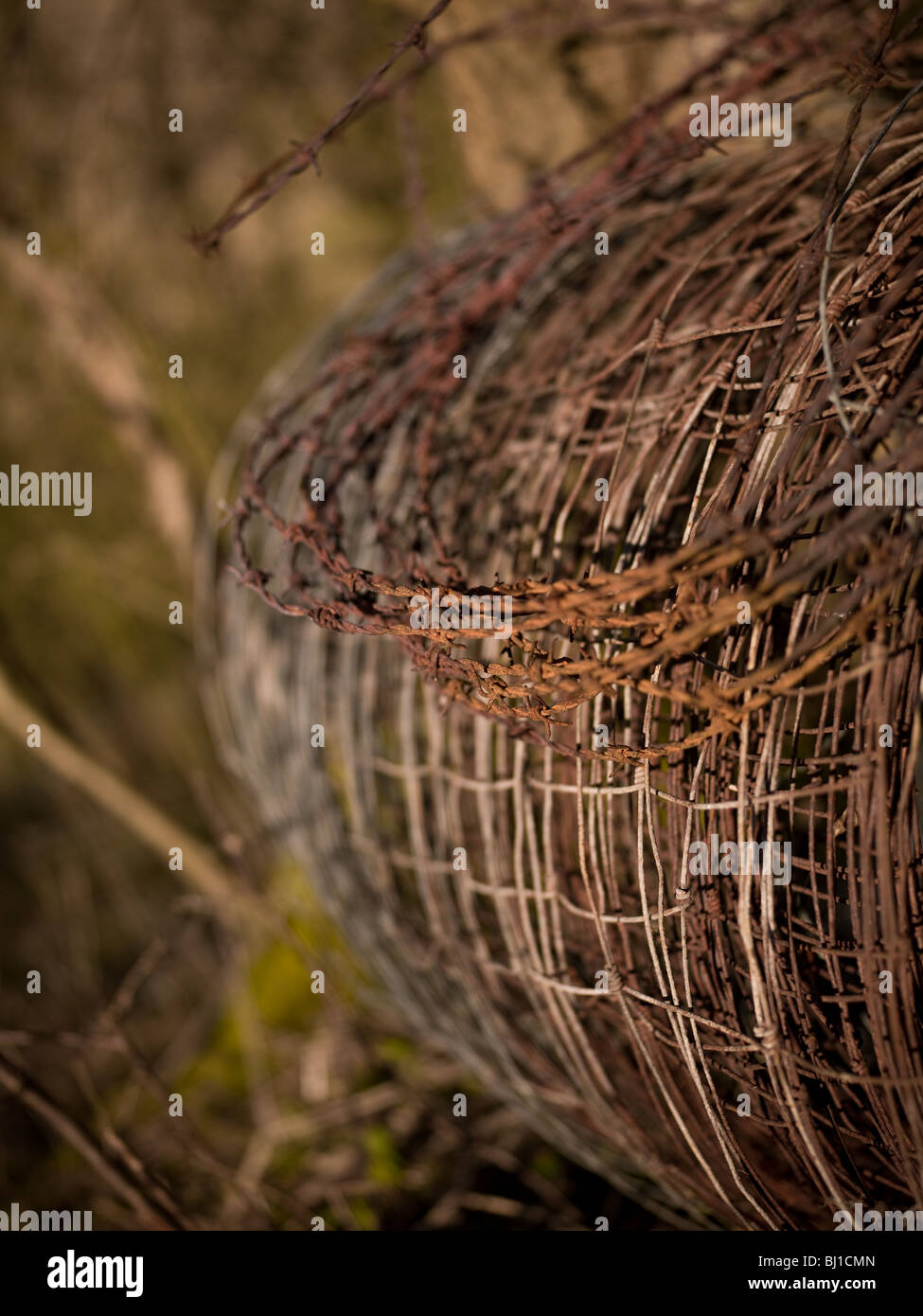 Barbed wire fencing hi-res stock photography and images - Alamy