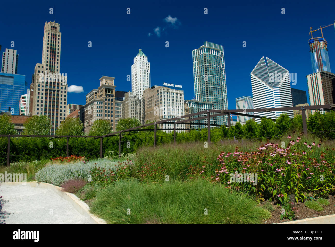 Lurie Garden in Millennium Park, Chicago Stock Photo - Alamy
