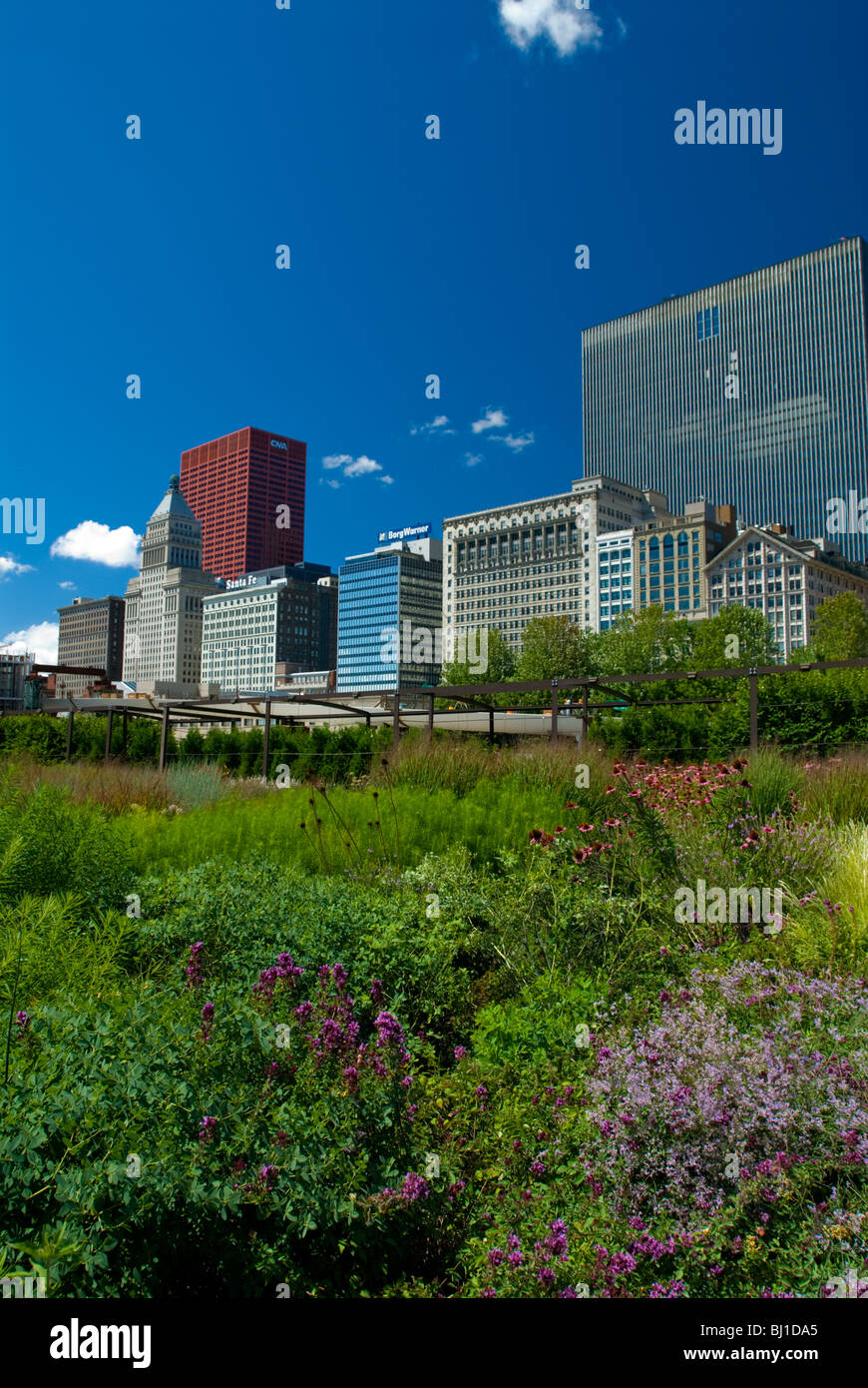 Lurie Garden in Millennium Park, Chicago Stock Photo - Alamy