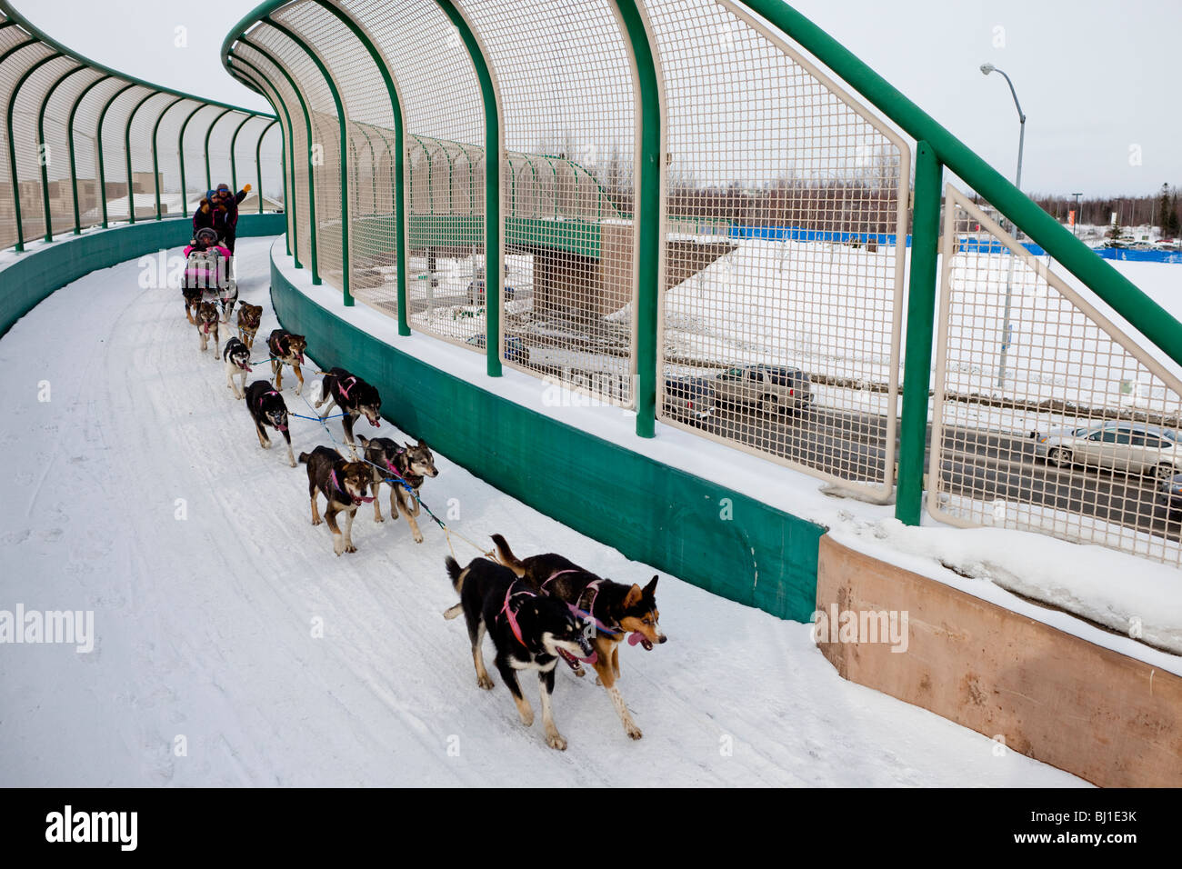 Iditarod musher crosses the Tudor Rd. bridge during the ceremonial ...
