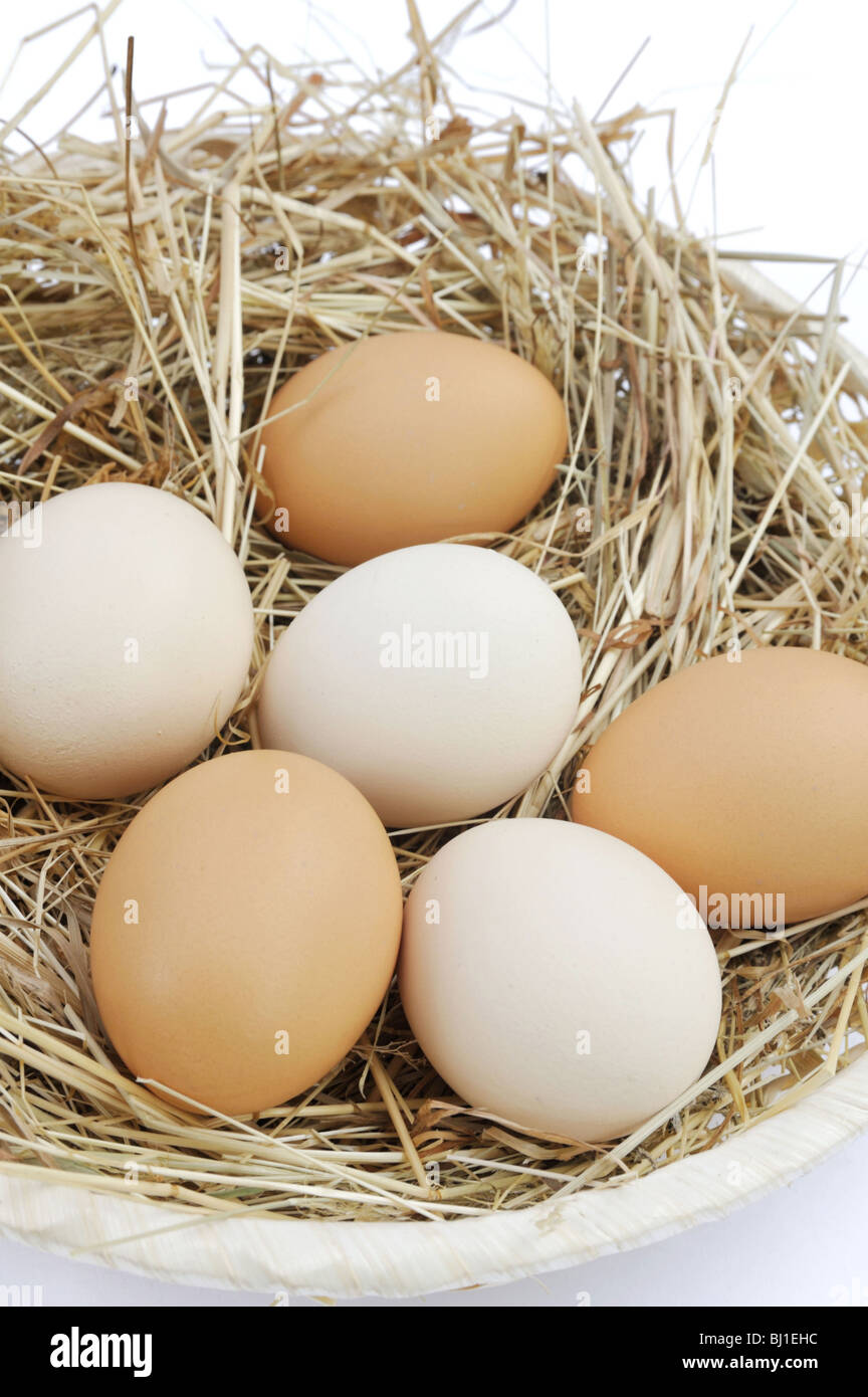 Fresh farm eggs Stock Photo - Alamy
