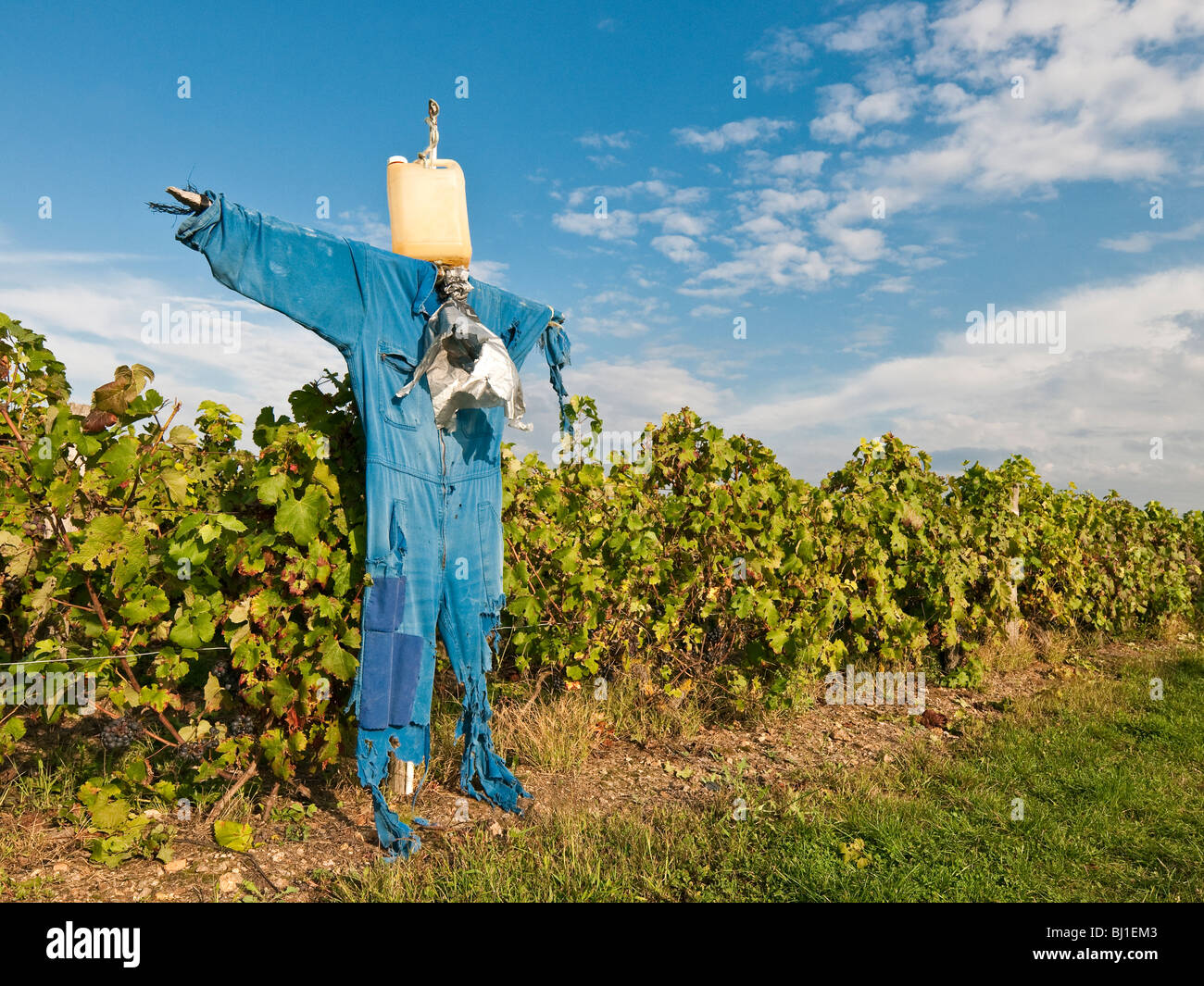 Scarecrow made plastic hi-res stock photography and images - Alamy