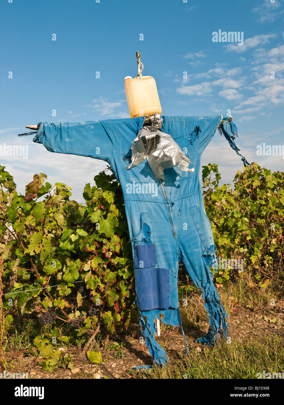 Small scarecrow hi-res stock photography and images - Alamy