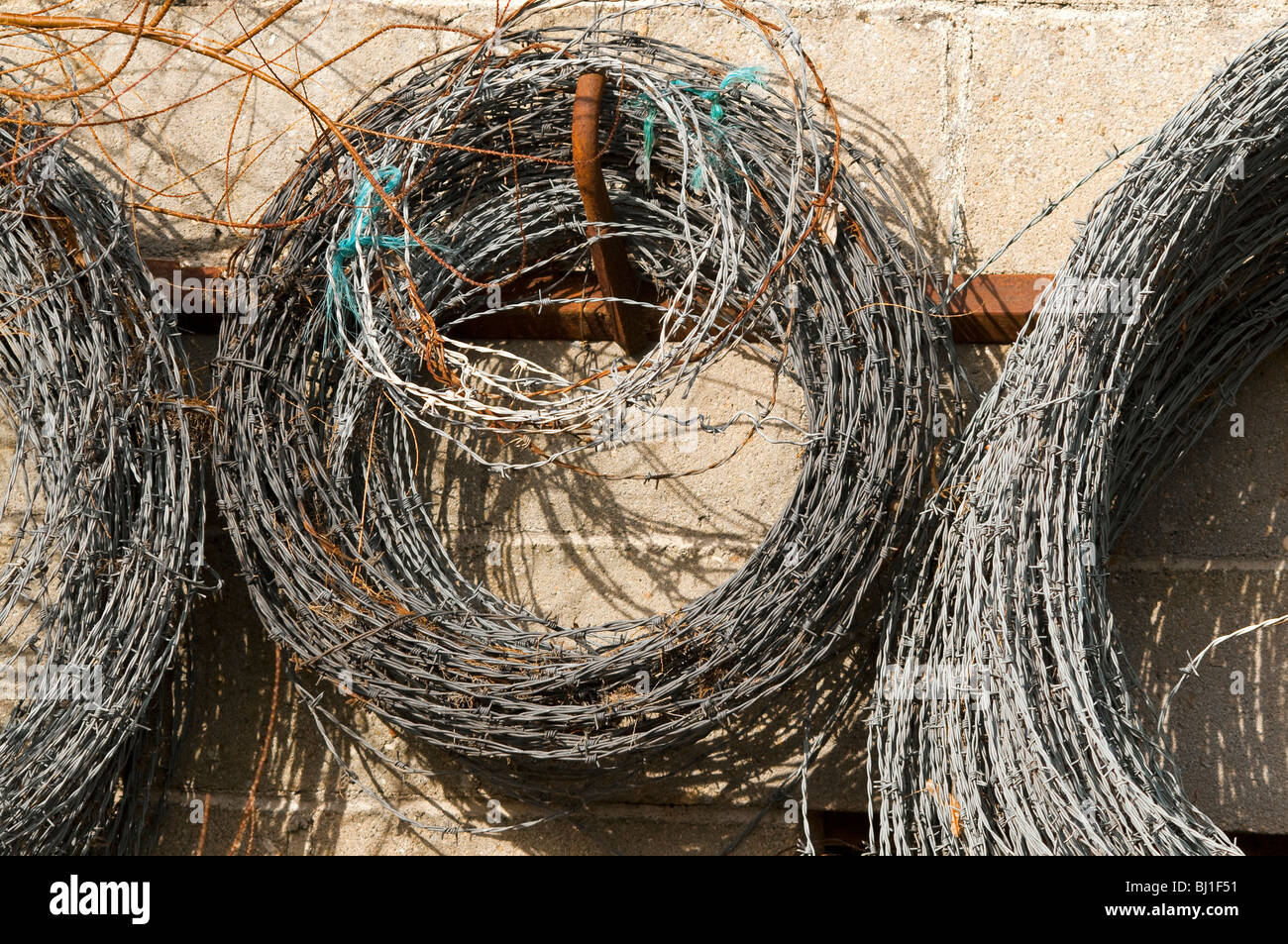 Barbed wire coil hi-res stock photography and images - Alamy