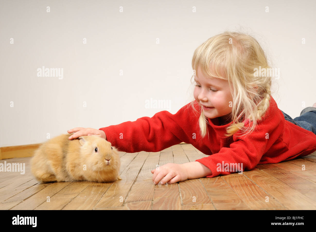 Laughing rabbits hi-res stock photography and images - Alamy