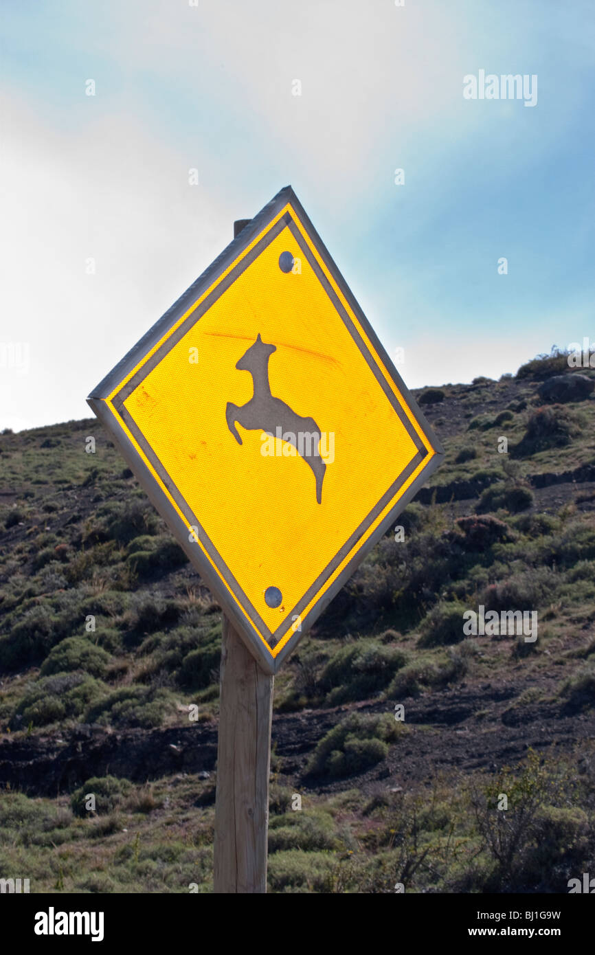 Road Sign warning of Huemuls, Torres del Paine National Park, Chile ...