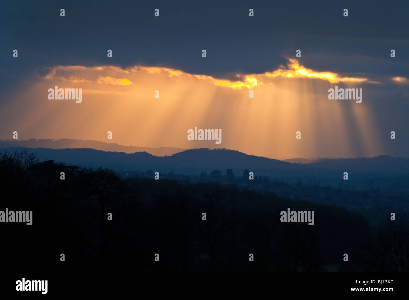 Sun filter through hi-res stock photography and images - Alamy