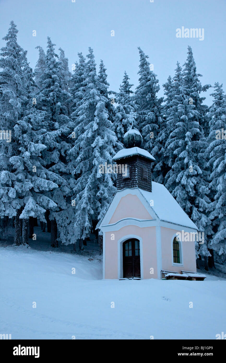 Small chapel or church in snowy trees (spruces) in winter Stock Photo ...