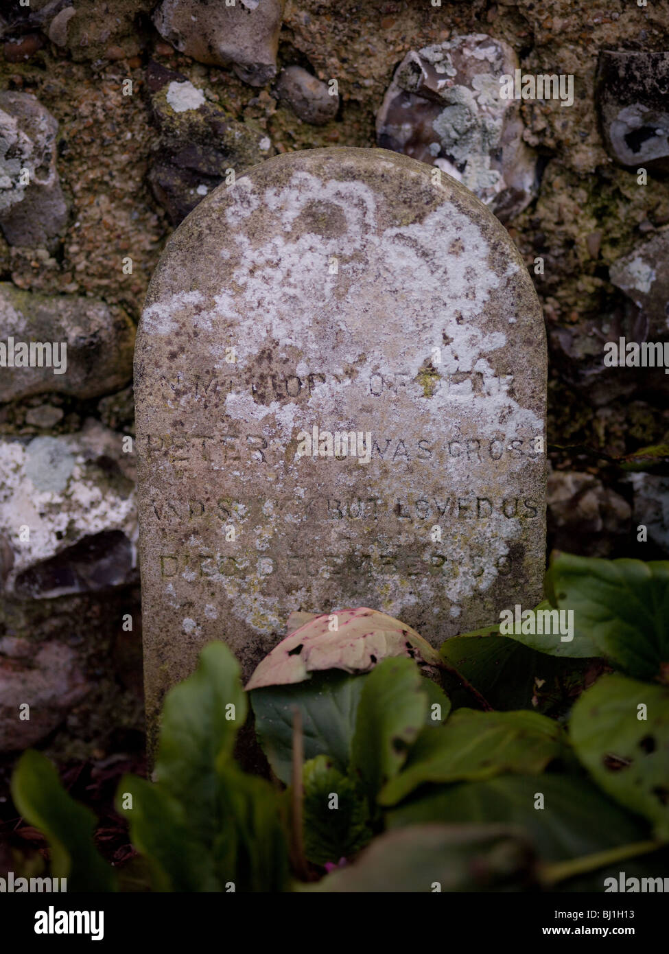 A Dog s Grave In A Dog Cemetery Stock Photo Alamy a-dog-s-grave-in-a-dog-cemetery-stock-photo-alamy
