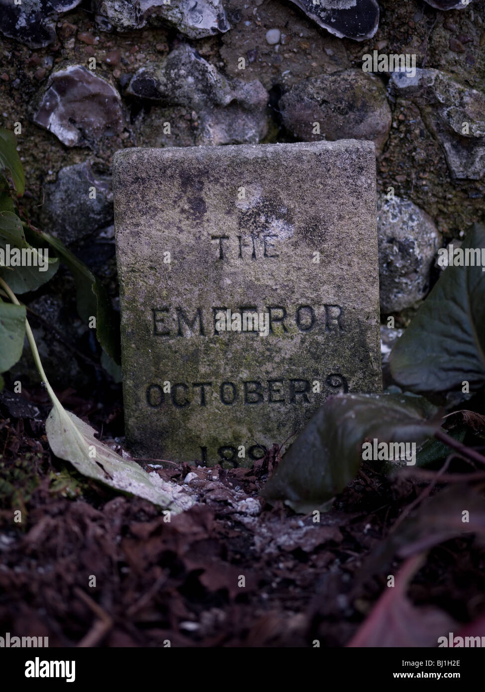 A dog's grave in a dog cemetery Stock Photo - Alamy
