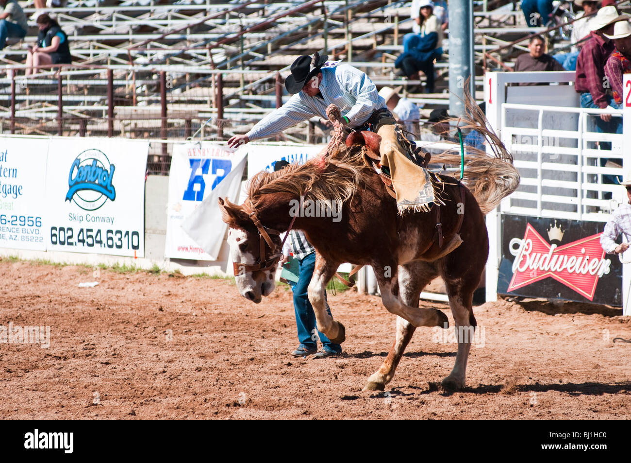 a cowboy competes in the saddle bronc riding event during the O'Odham ...