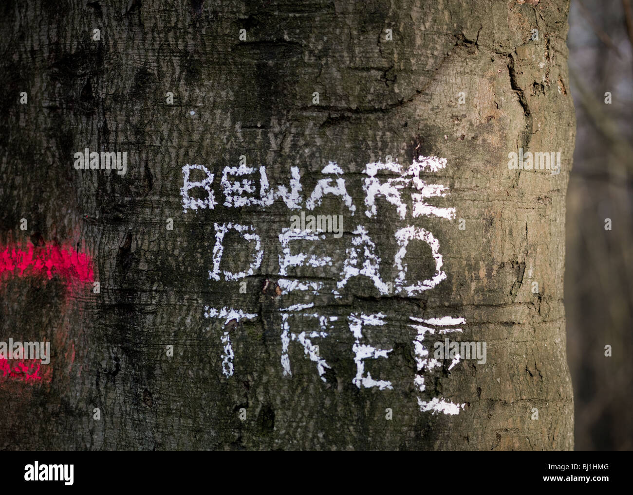 Beware dead tree graffiti Stock Photo - Alamy