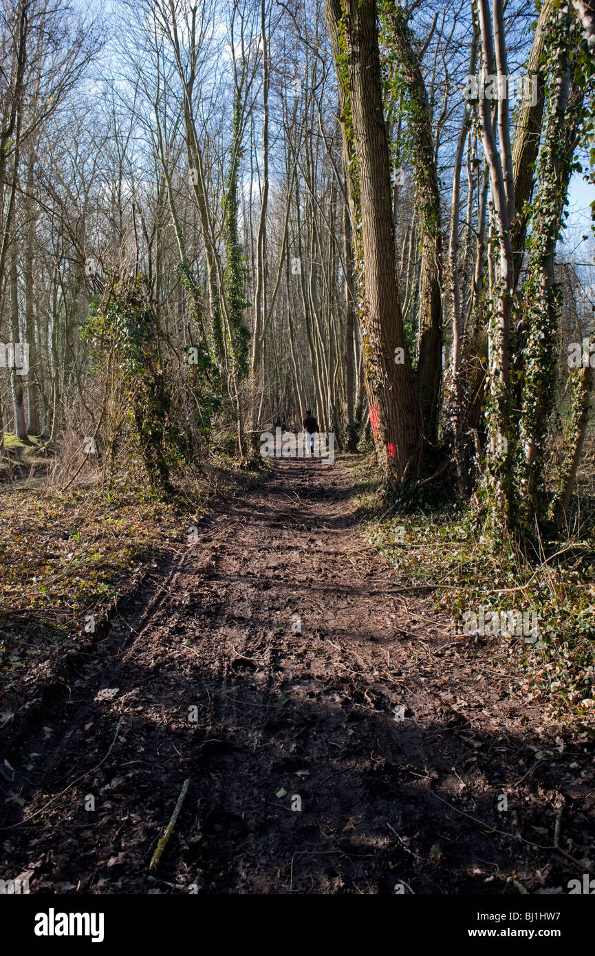 Picardy scenery hi-res stock photography and images - Alamy