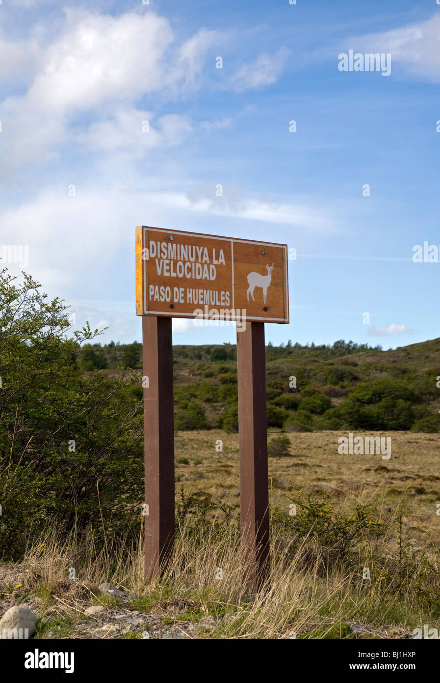 Road Sign warning of Huemuls, Torres del Paine National Park, Chile ...