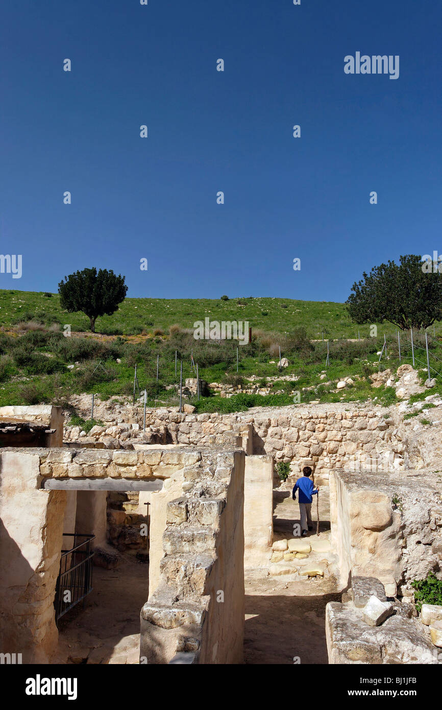 Israel, Shephelah region, Tel Maresha Stock Photo - Alamy