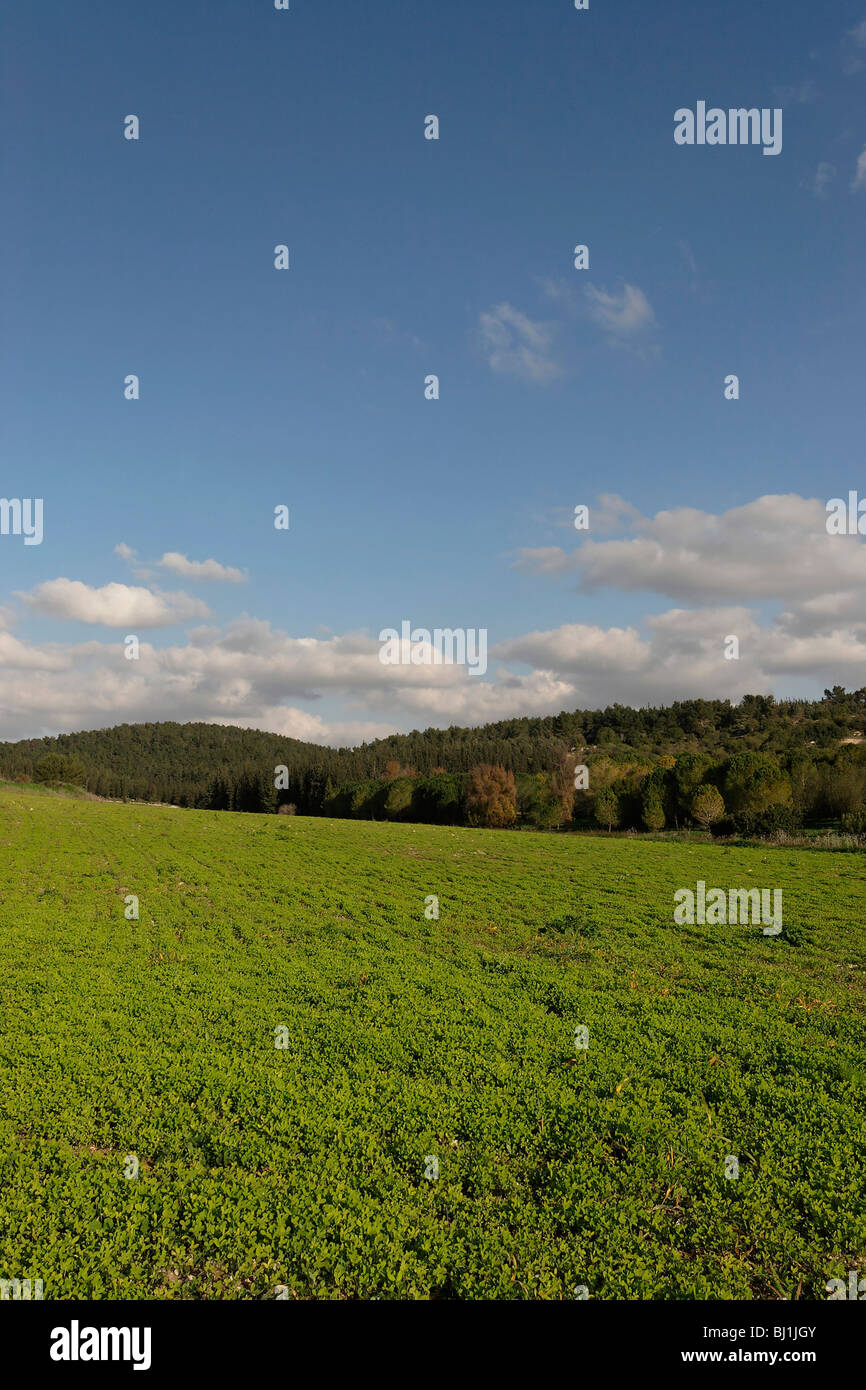 Burma road israel hi-res stock photography and images - Alamy