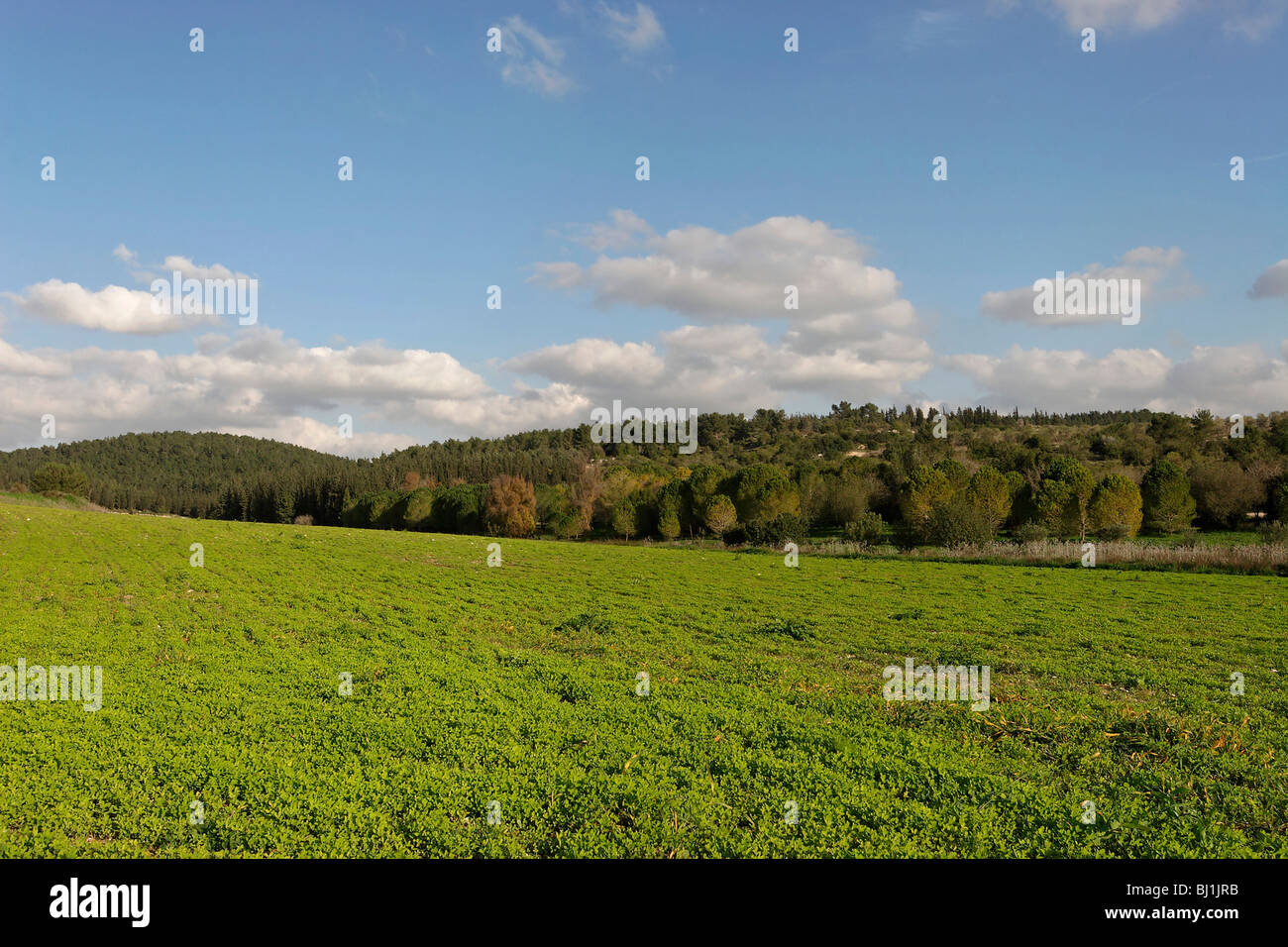 Burma road israel hi-res stock photography and images - Alamy