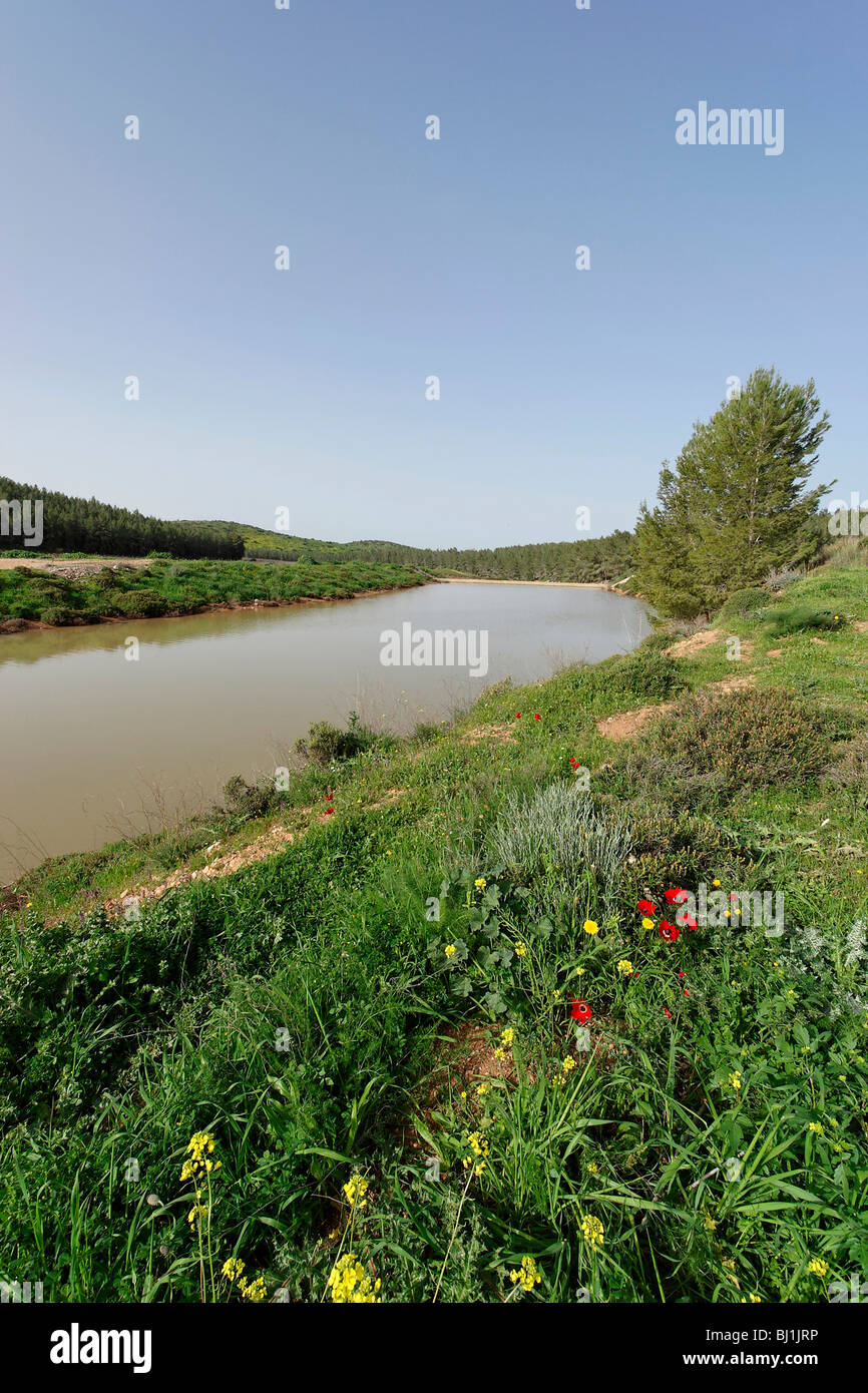 Israel, the Shephelah. Adoraim dam Stock Photo - Alamy