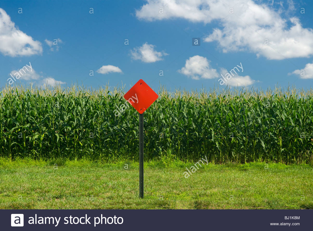 Indiana, Corn,field Stock Photos & Indiana, Corn,field Stock Images - Alamy
