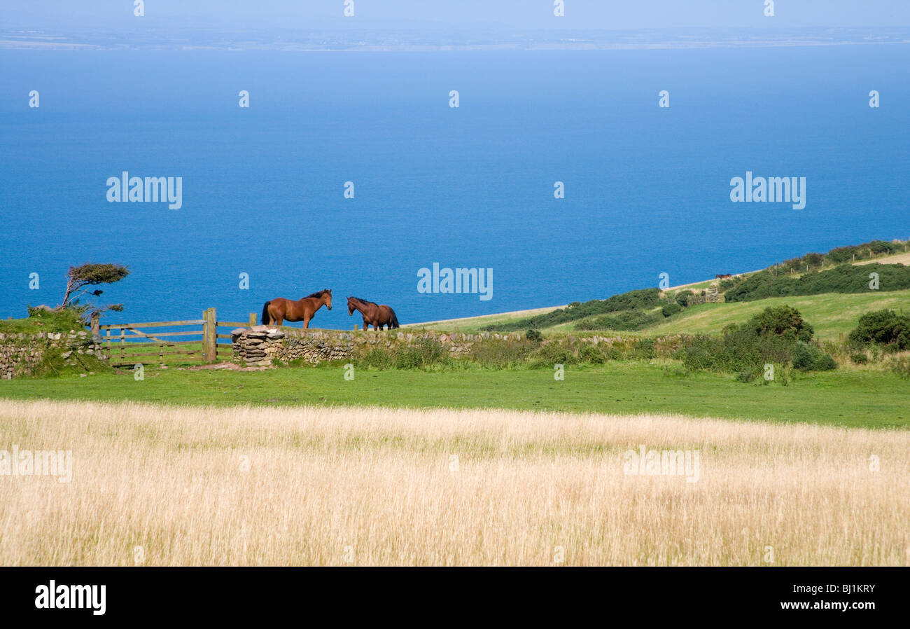 Lynmouth devon countisbury hi-res stock photography and images - Alamy