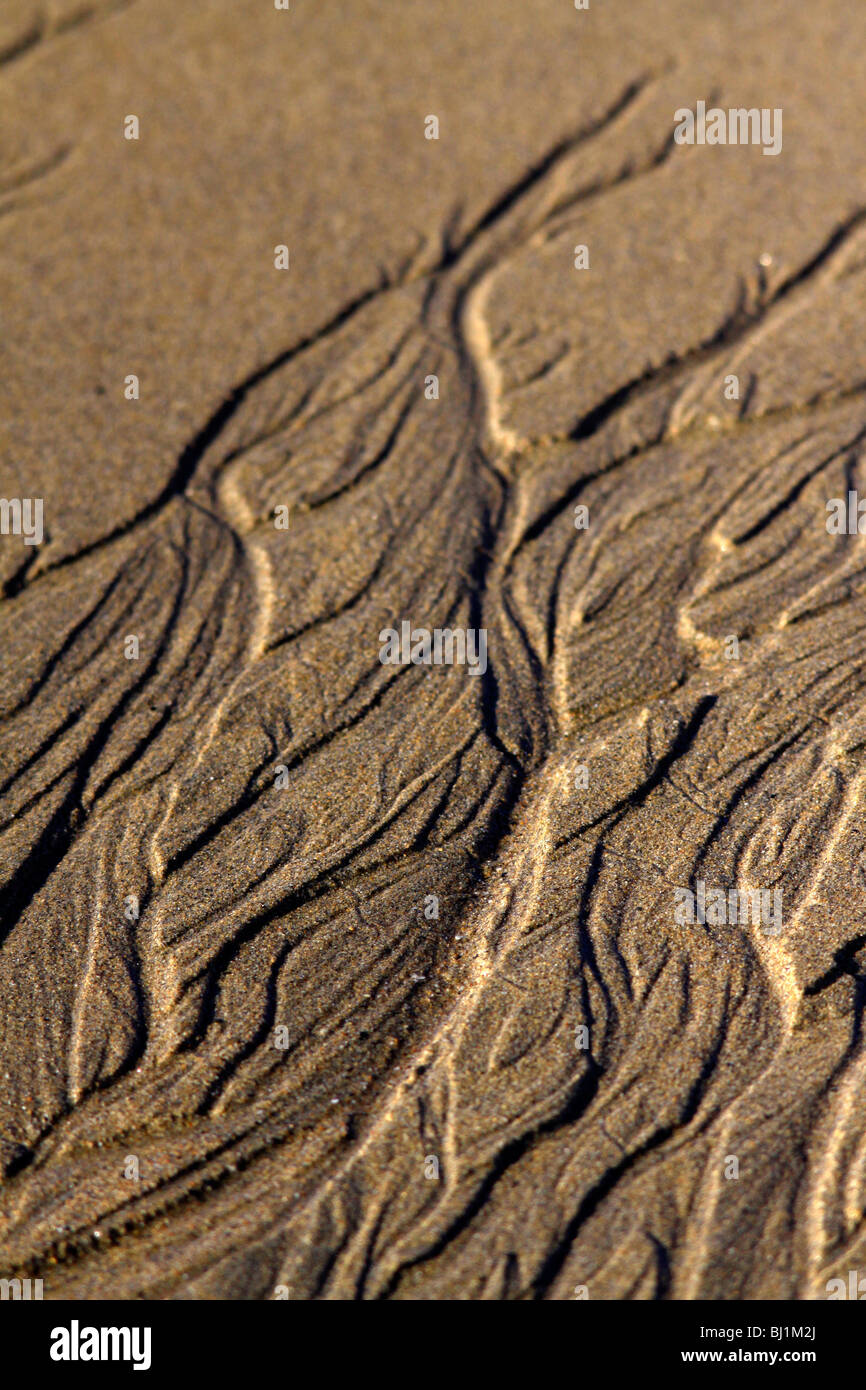 Beach sand made into organic shapes by tide Stock Photo - Alamy