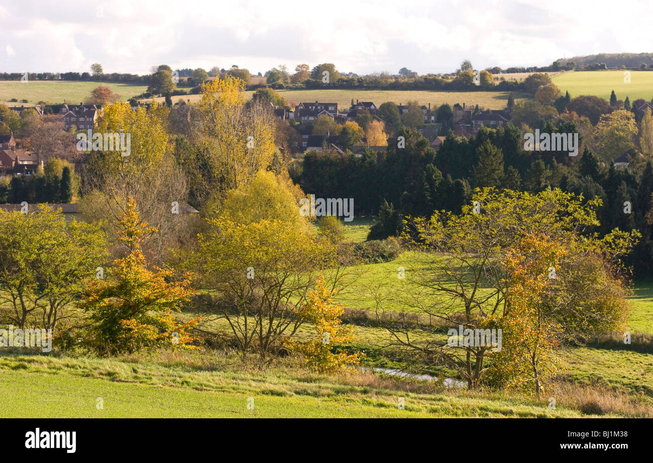 Colourful trees hi-res stock photography and images - Alamy