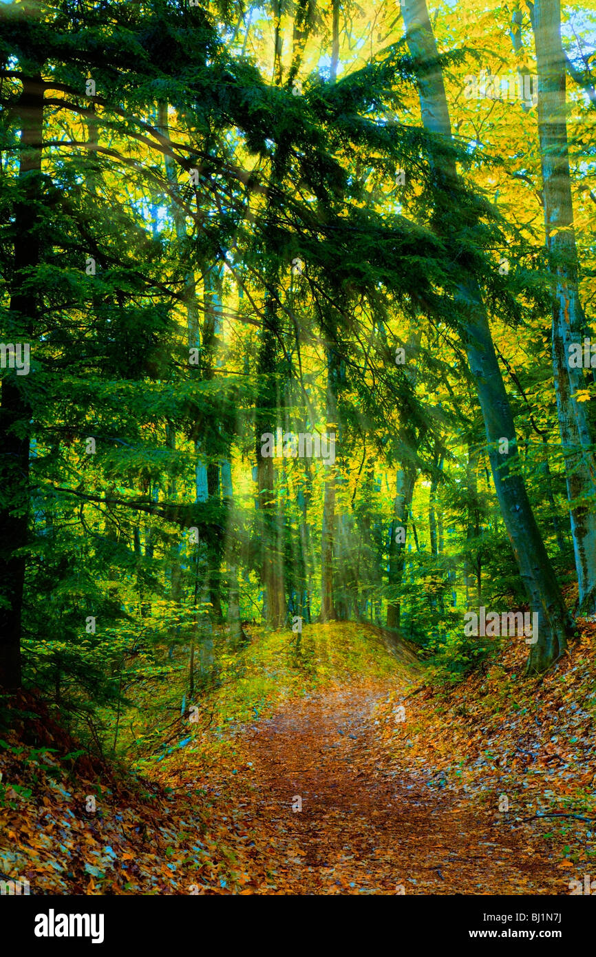 Inspiration trail hi-res stock photography and images - Alamy