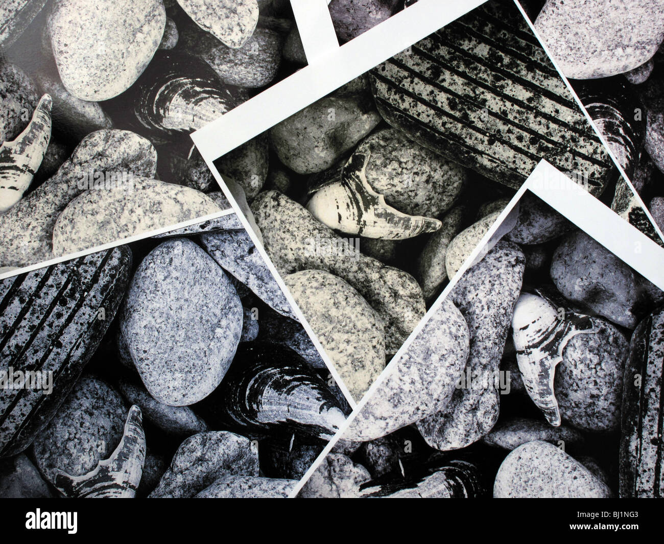 Cooltone hi-res stock photography and images - Alamy