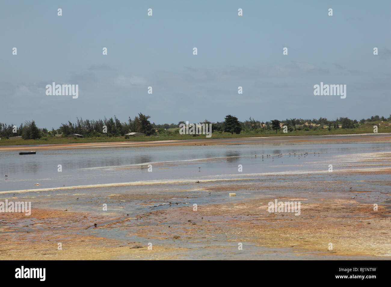 Senegal, Pink lake, salt lake Stock Photo - Alamy