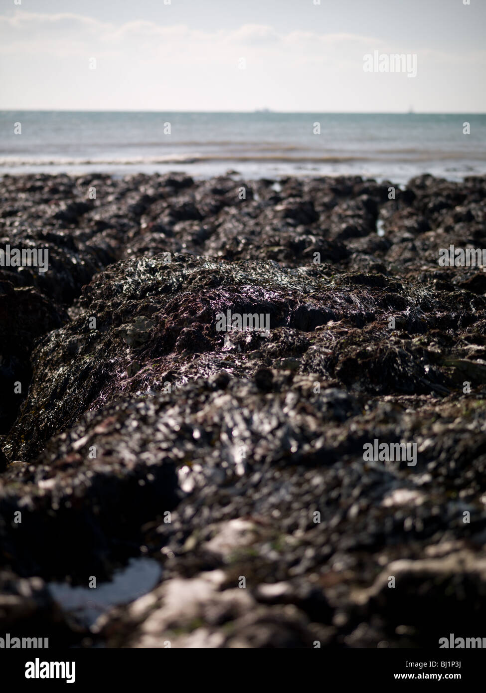 Pools and seaweed hi-res stock photography and images - Alamy