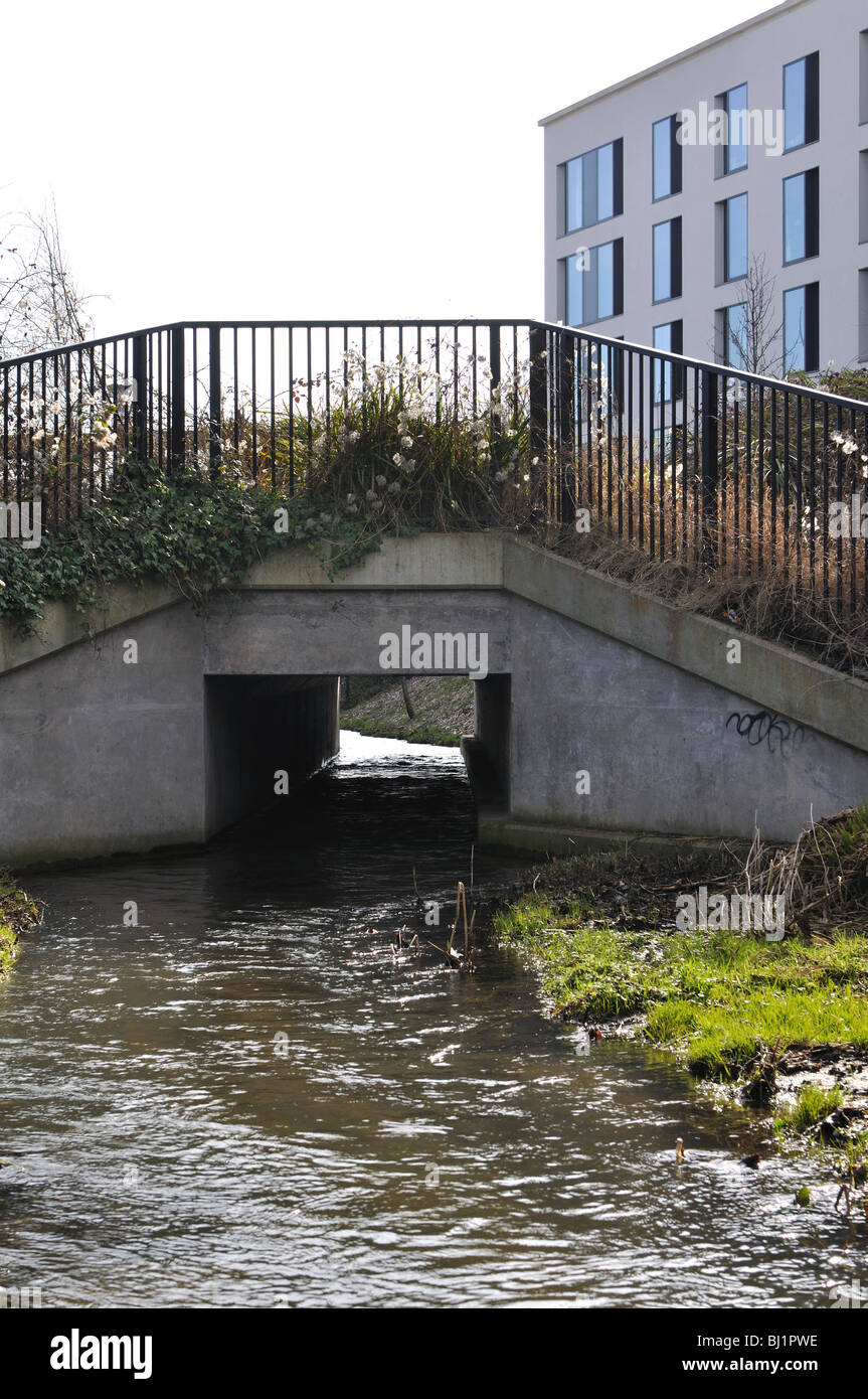 River Chelt near the town centre, Cheltenham Spa, Gloucestershire ...