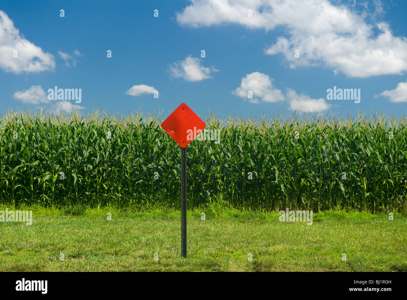 Sign corn field hi-res stock photography and images - Alamy