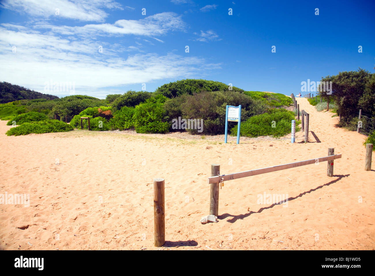 narrabeen beach and reserve , one of sydney's northern beaches Stock ...