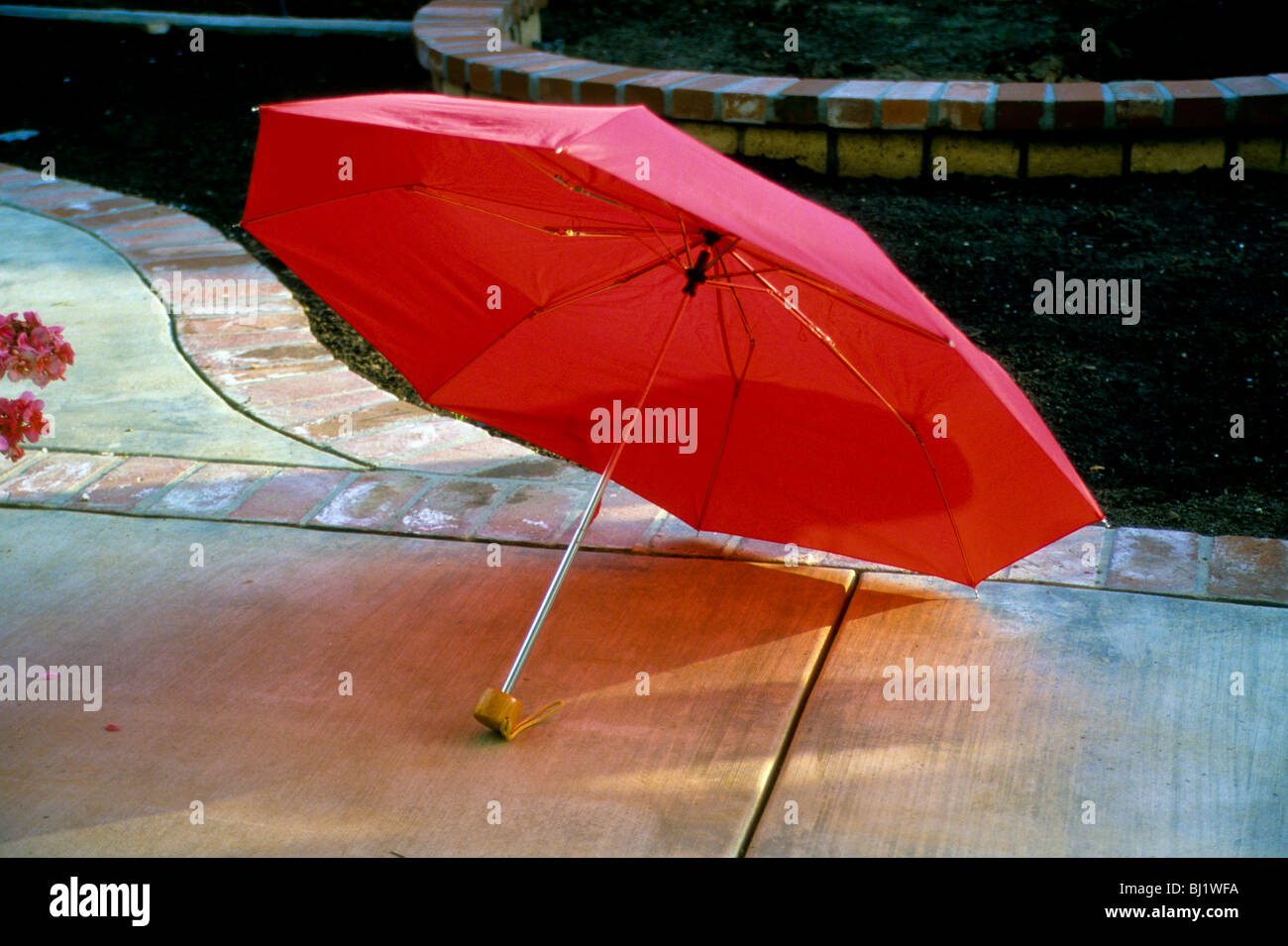 Open red umbrella rain water protection color spread cover dry sun ...