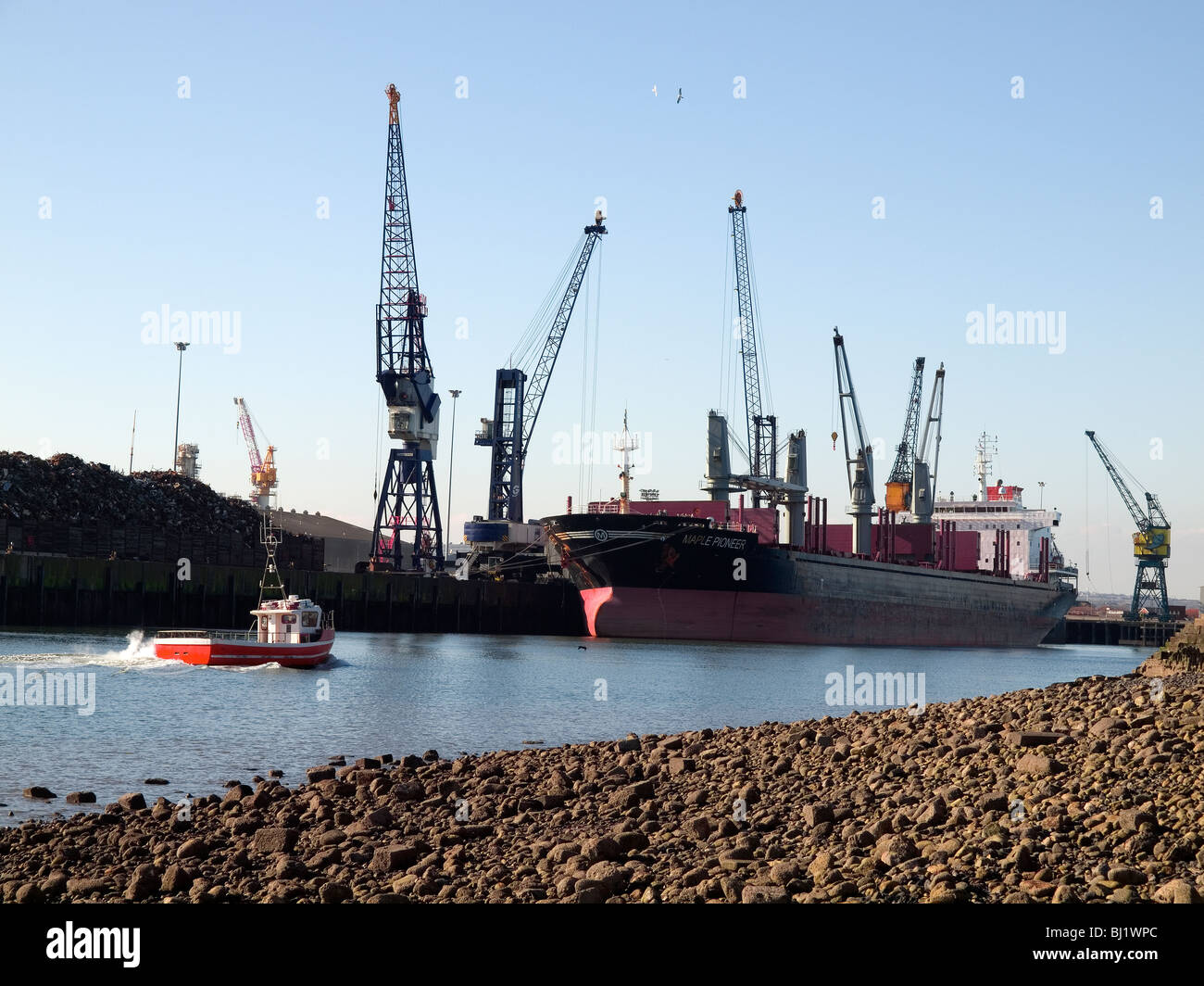 A bulk carrier ship MV Maple Pioneer at berth in Hartlepool Durham UK ...